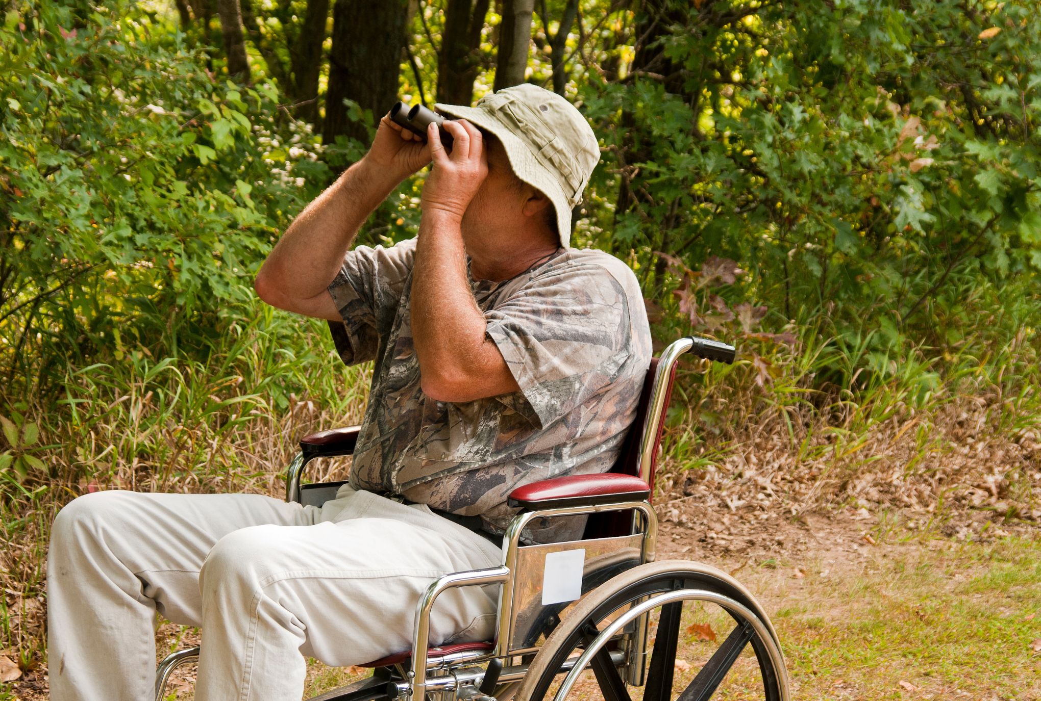 Wheelchair-Accessible Activities in Naperville to Check Out this Summer